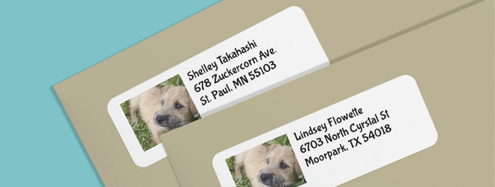 Create Photo Address Labels | Avery.com
